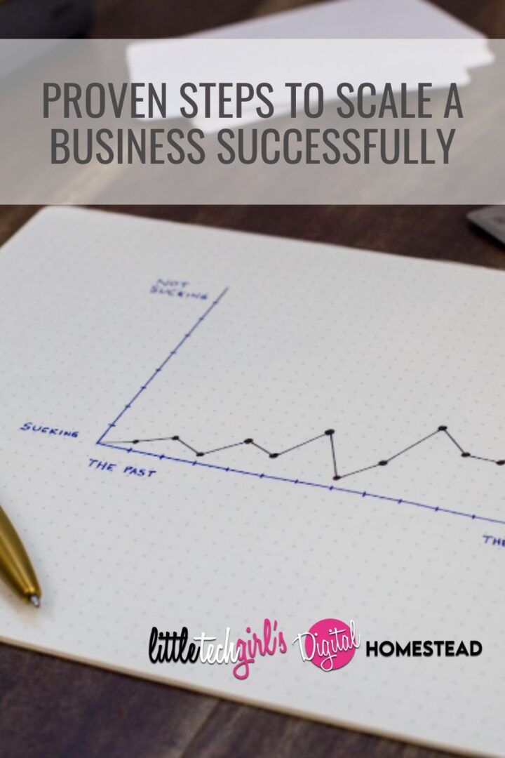 Proven Steps to Scale a Business Successfully