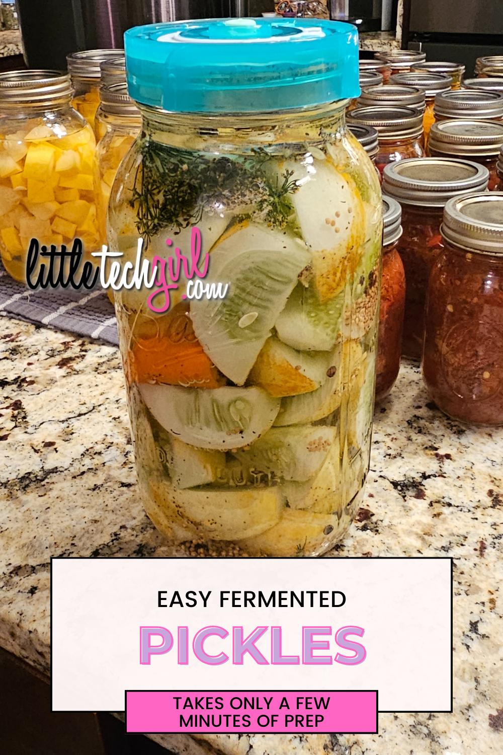 Easy Delicious Fermented Pickles
